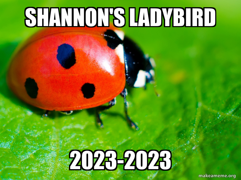 Shannon's ladybird 2023-2023 Meme Generator