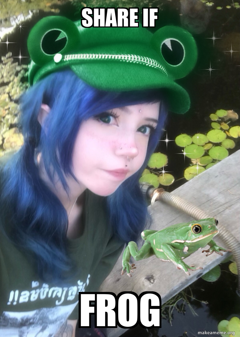 SHARE IF FROG Meme Generator