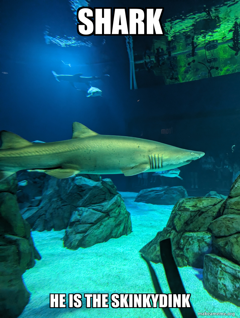 shark he is the skinkydink Meme Generator