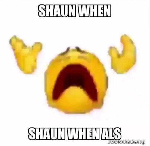 SHAUN WHEN SHAUN WHEN ALS Meme Generator