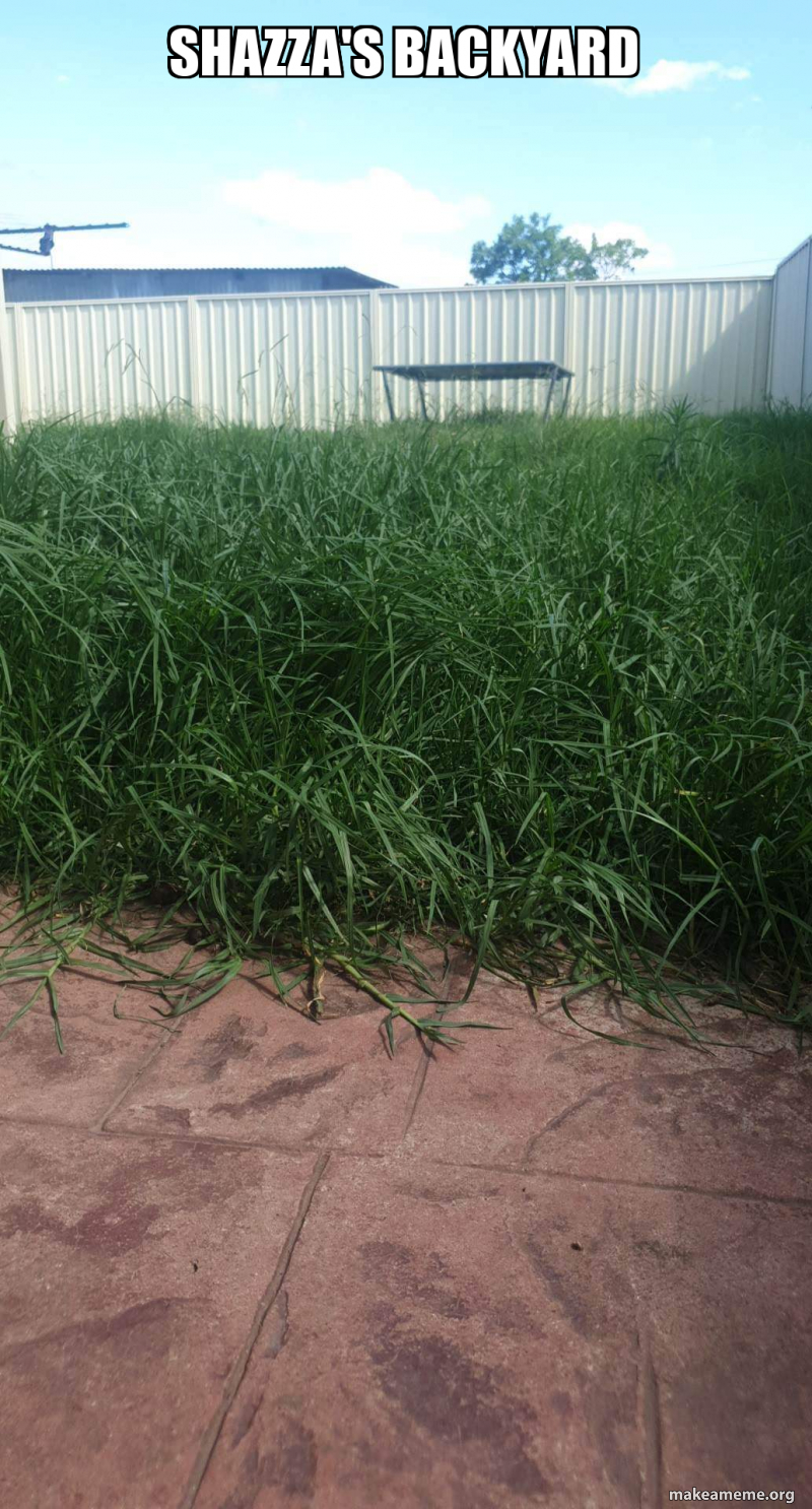 Shazza's backyard Meme Generator