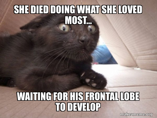 she died doing what she loved most... WAITING FOR HIS FRONTAL LOBE TO ...