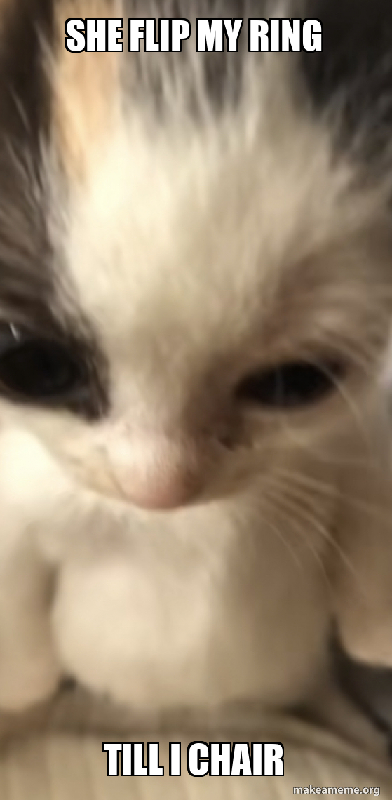 She flip my ring till i chair Meme Generator