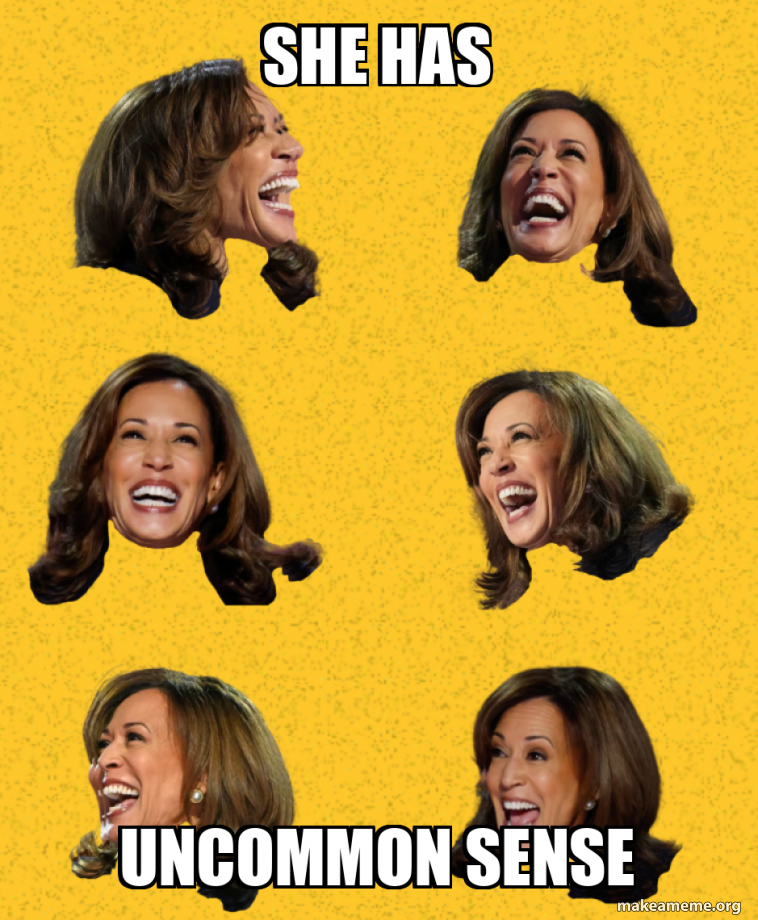 she has uncommon sense Meme Generator