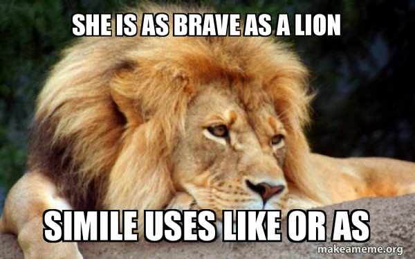 Female Lion Memes