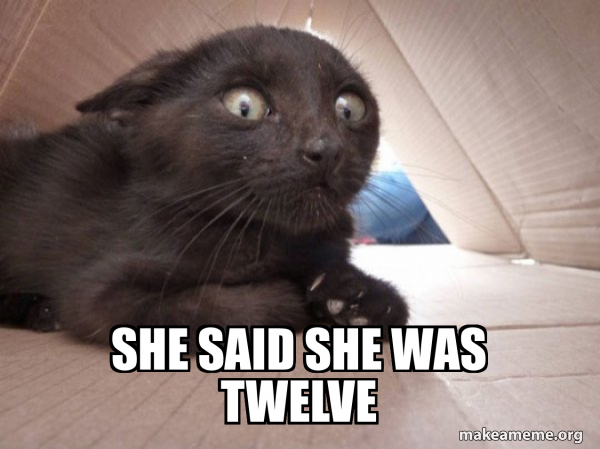 She said she was twelve - Schitzo Cat Meme Generator