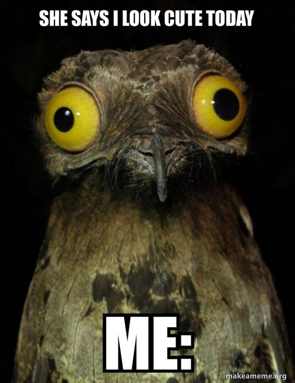 She says i look cute today ME: - Weird Stuff I do Potoo Meme Generator