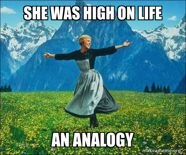 she was high on life an analogy - Sound of Music Meme Generator