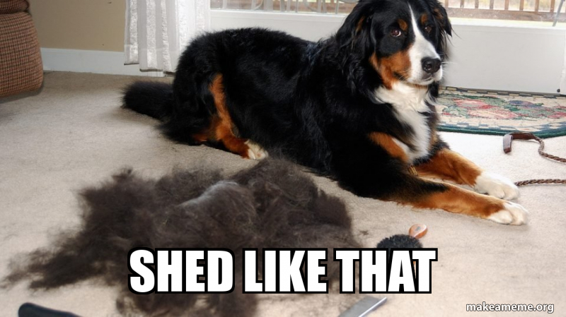 SHED LIKE THAT Meme Generator