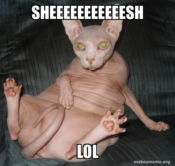Sheeeeeeeeeeesh Lol - Hairless Cat Meme Generator