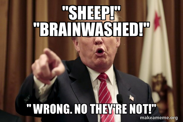 "SHEEP!" "BRAINWASHED!" " WRONG. NO they're NOT!" - Donald Trump Says ...