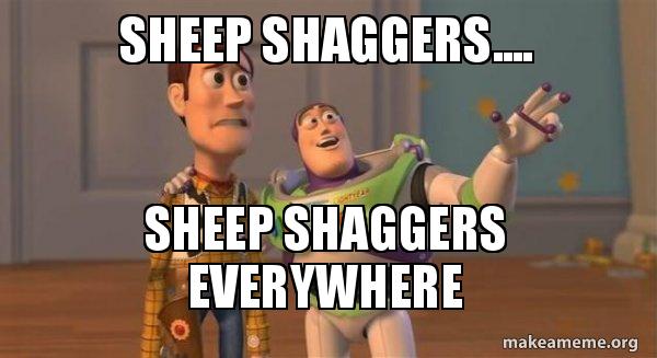 sheep shaggers.... sheep shaggers everywhere - Buzz and Woody (Toy ...