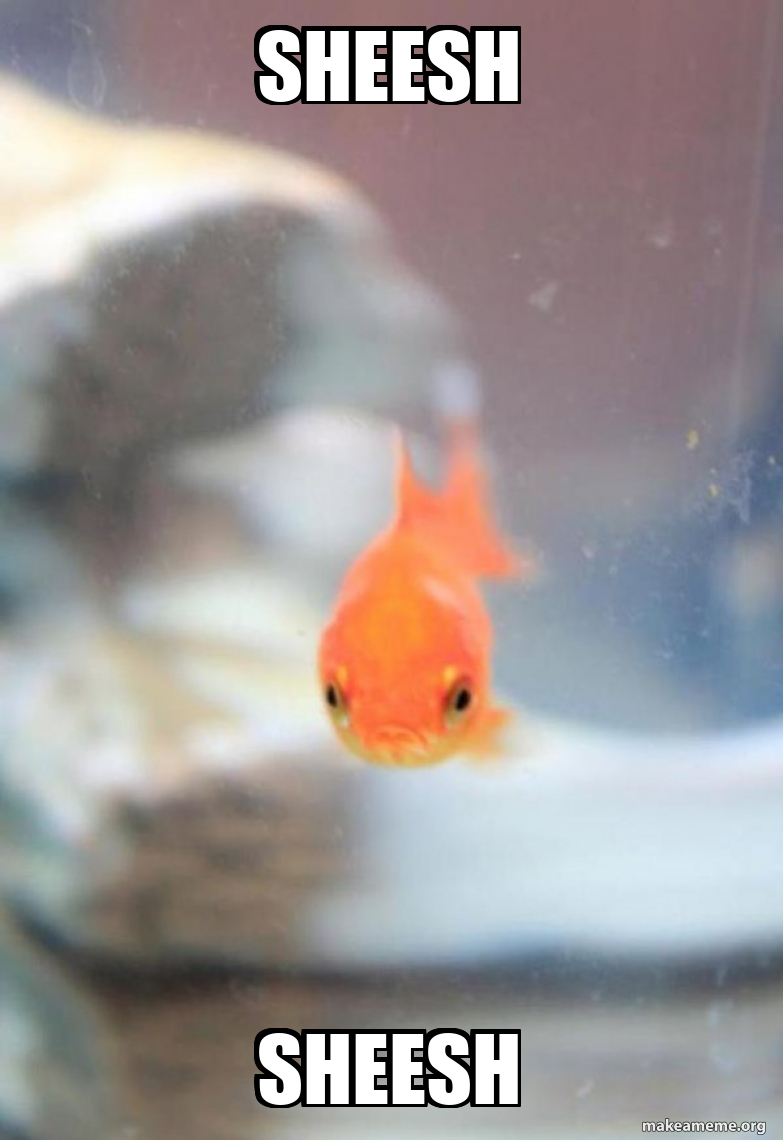 sheesh sheesh - Grumpy Fish Meme Generator