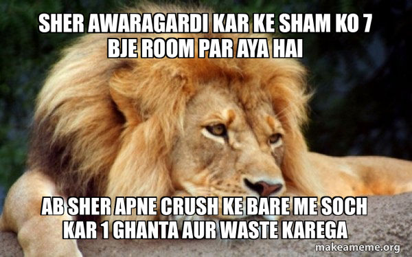 Sher awaragardi kar ke sham ko 7 bje room par aya hai Ab Sher apne ...