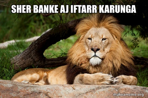 sher banke aj iftarr karunga - Contemplative Lion Meme Generator