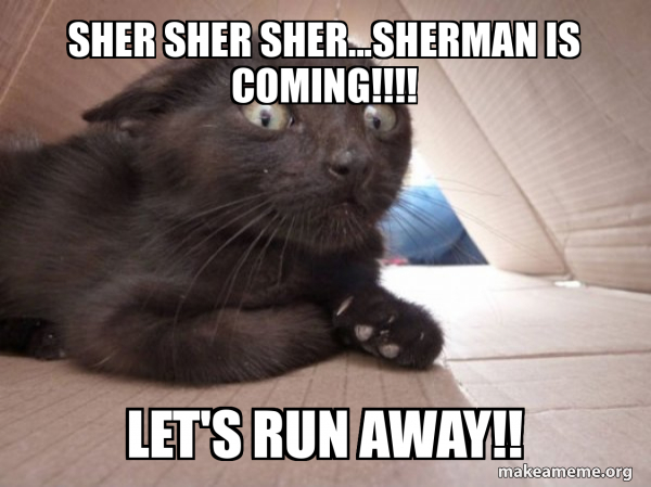 Sher Sher Sher...Sherman is coming!!!! Let's run away!! - Schitzo Cat ...