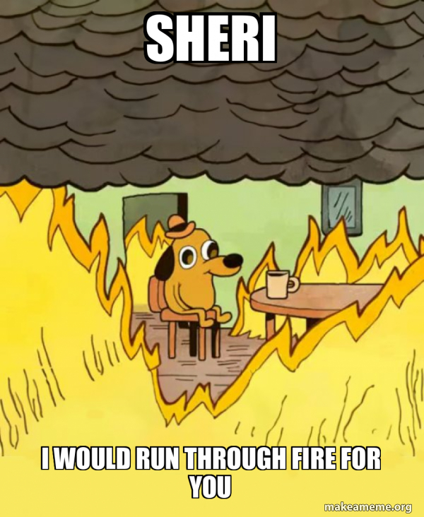 SHERI I WOULD RUN THROUGH FIRE FOR YOU - This Is Fine Meme Generator