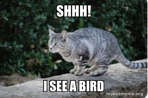 Shhh! I see a bird Meme Generator