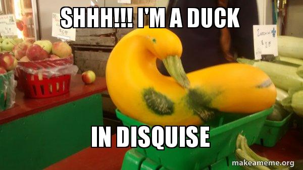 shhh!!! I'm a duck in disquise - Gourd Advice Mallard Meme Generator