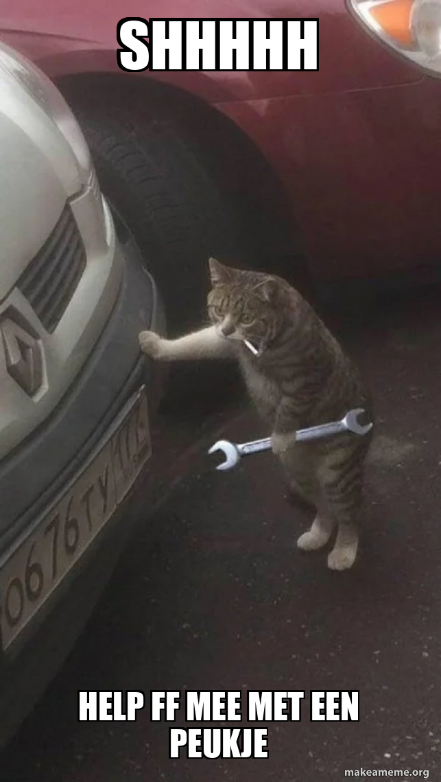 shhhhh help ff mee met een peukje - Mechanic Cat Meme Generator