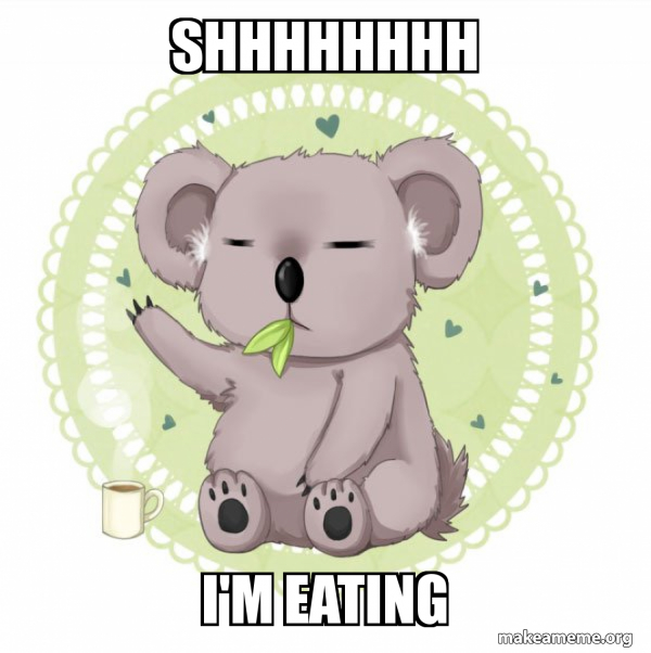 SHHHHHHHH I'M EATING - Aussie Koala doing the night shift Meme Generator