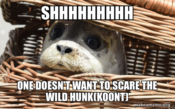 SHHHHHHHHH One Doesn't Want to Scare the Wild Hunk(Koont) - Impending ...