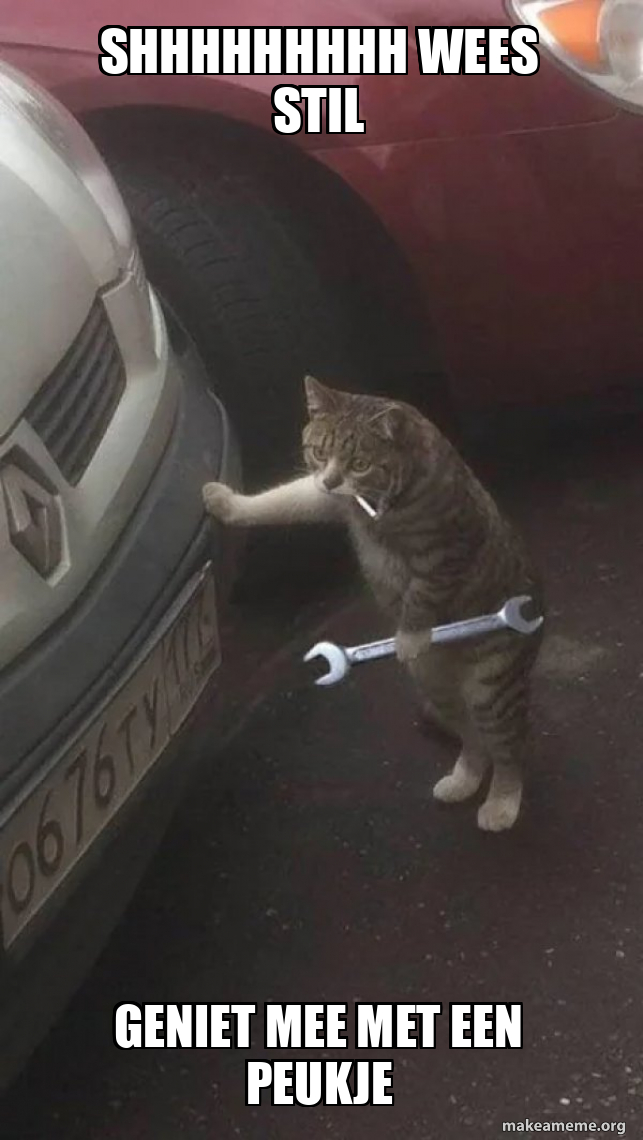 shhhhhhhhh wees stil geniet mee met een peukje - Mechanic Cat Meme ...