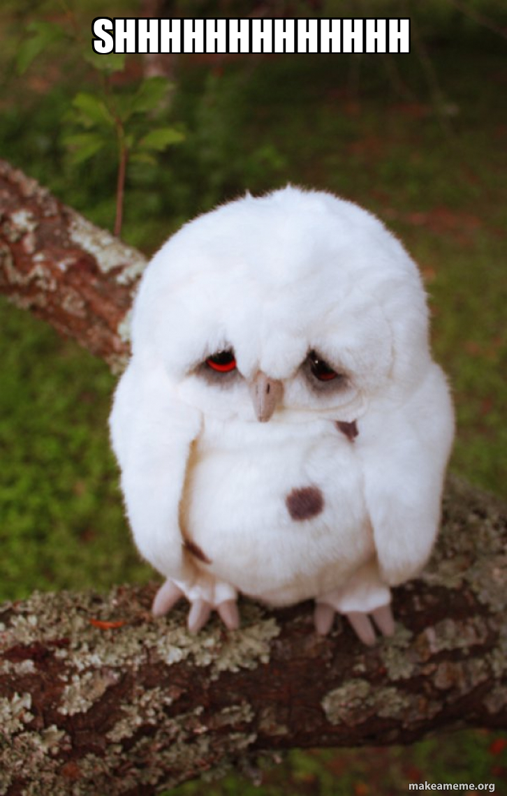 shhhhhhhhhhhhh - Sad Owl Meme Generator