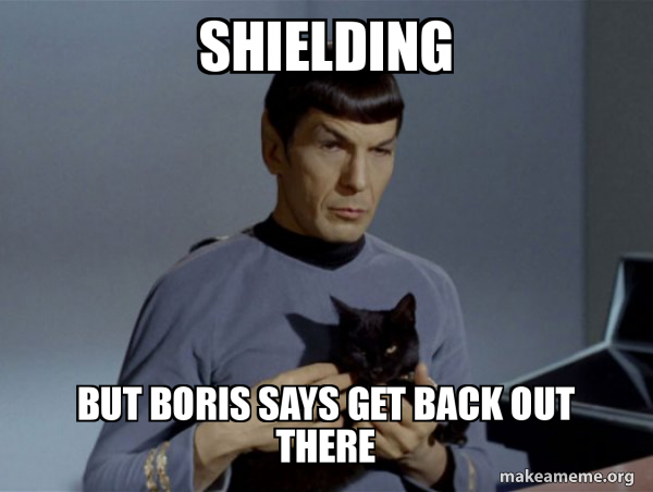 Shielding But Boris says get back out there - Spock and Cat Meme Meme ...