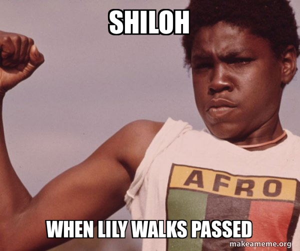 Shiloh Memes