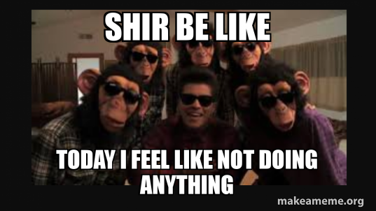 shir be like today i feel like not doing anything Meme Generator