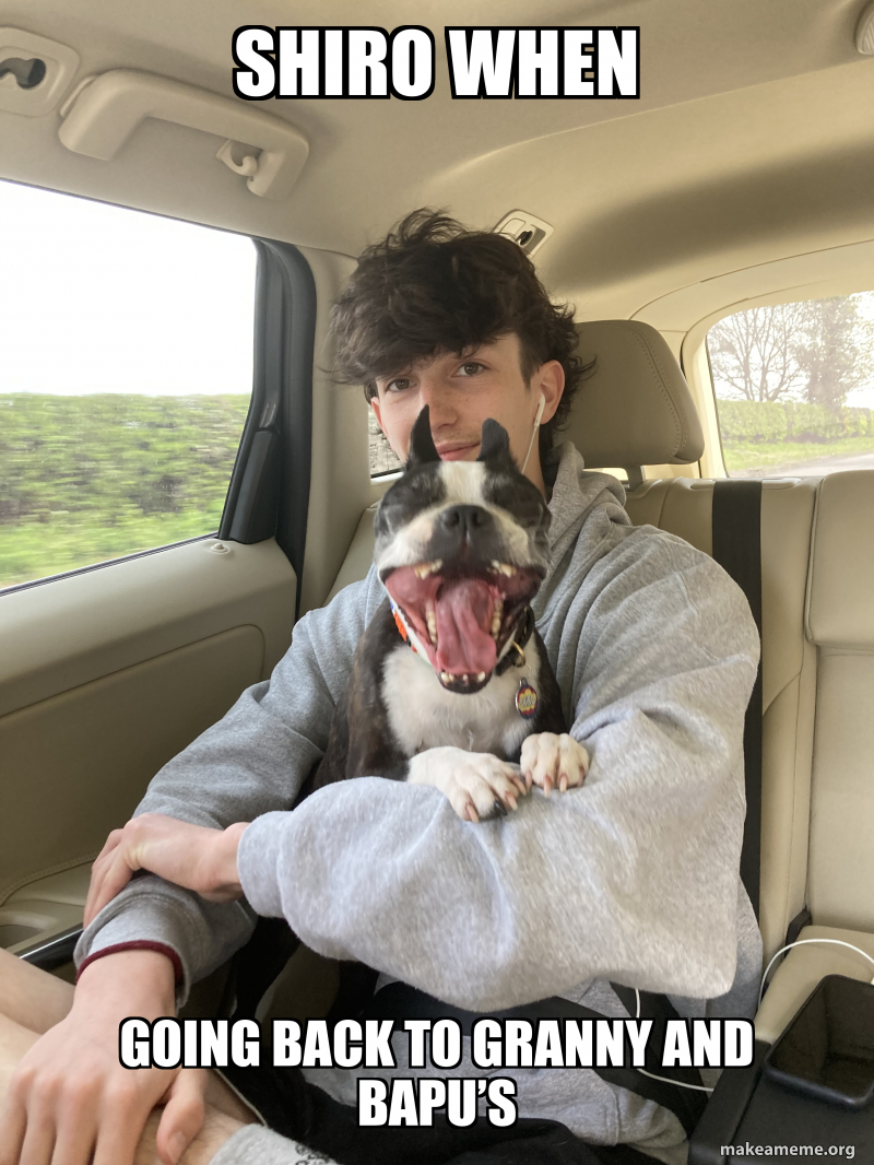 Shiro when GoiNg back to Granny and bapu’s Meme Generator