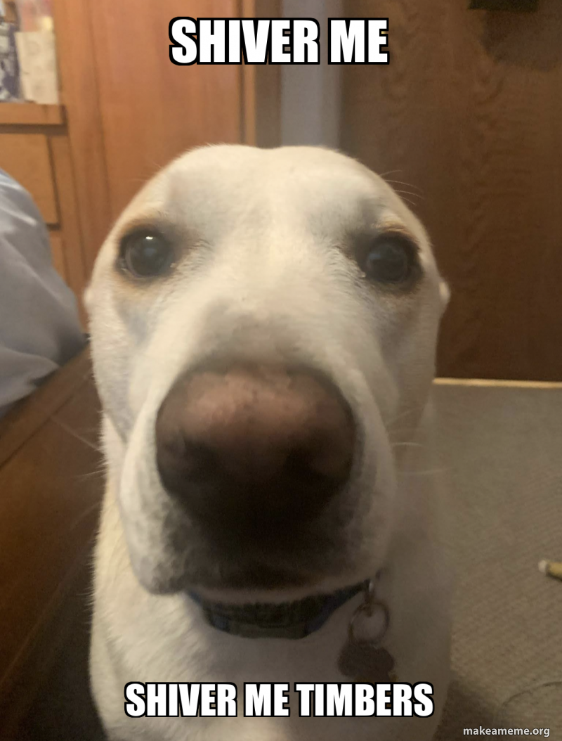 Shiver me Shiver me timbers Meme Generator