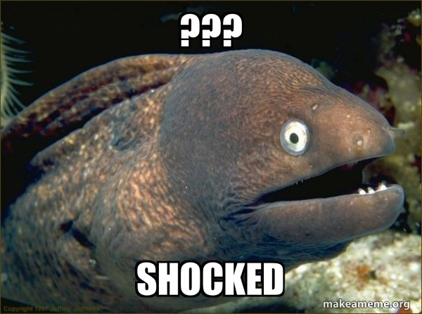 Shocked - Bad Joke Eel Meme Generator