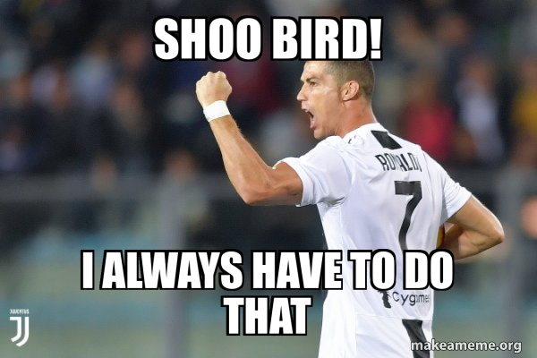 shoo bird! i always have to do that - Cristiano Ronaldo Meme Generator