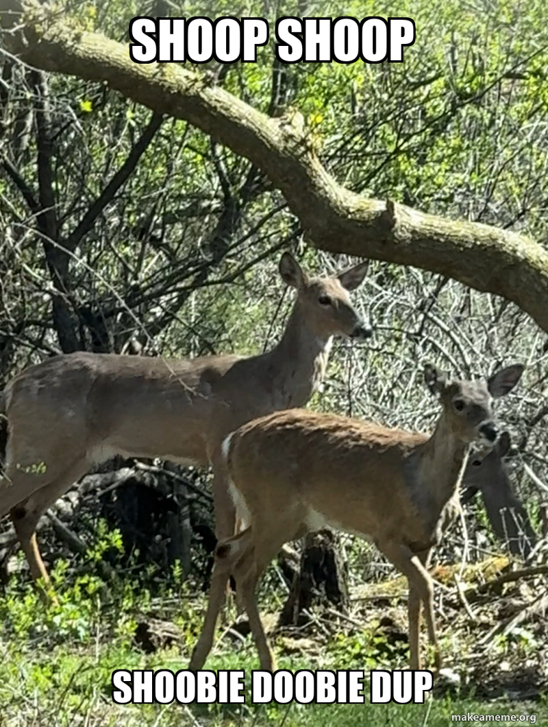 shoop shoop shoobie doobie dup Meme Generator