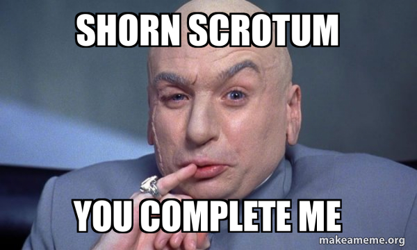 shorn scrotum you complete me - You Complete Me Meme Generator
