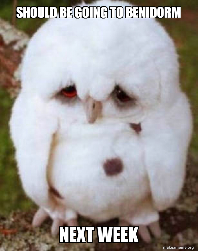 Should be going to Benidorm Next week Meme Generator