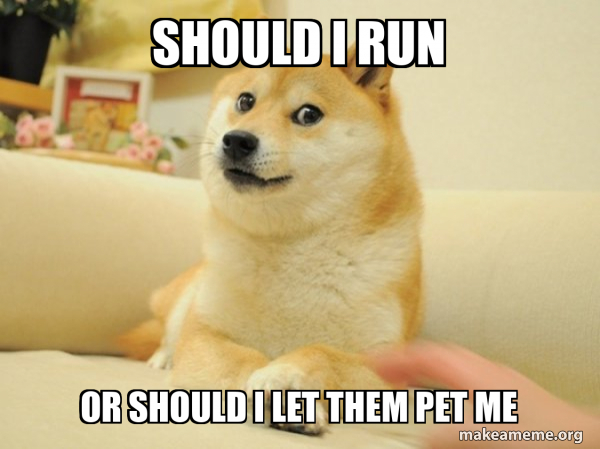 should i run or should i let them pet me - Doge Meme Generator