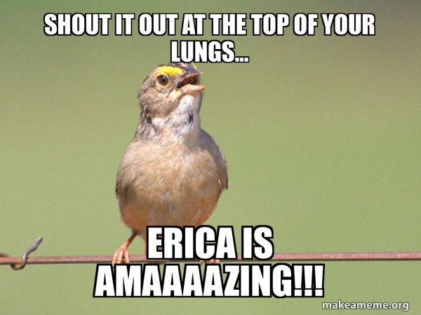 Shout it out at the top of your lungs... Erica is amaaaazing ...