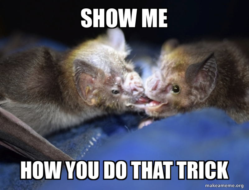 show me How you do that trick Meme Generator