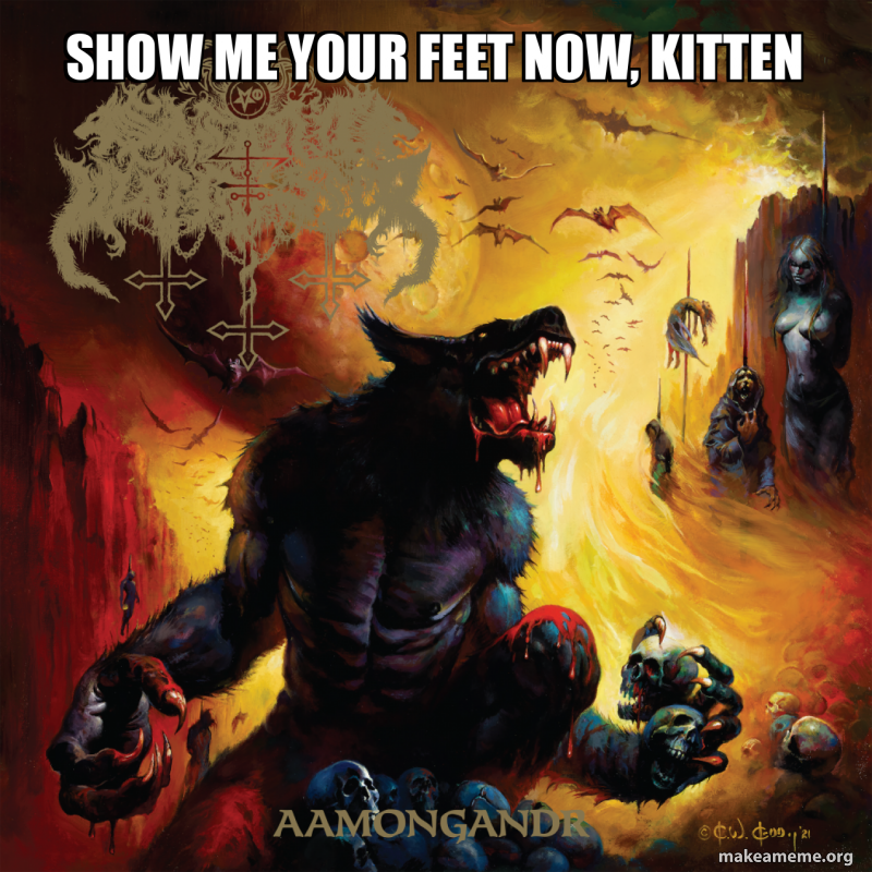 Show me your feet now, kitten Meme Generator