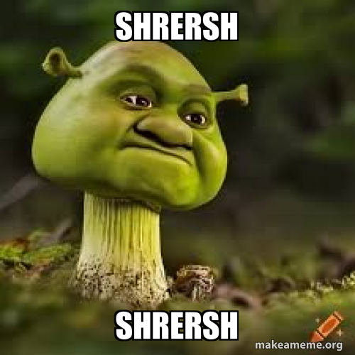 shreRsh shrersh - SHRERSH Meme Generator
