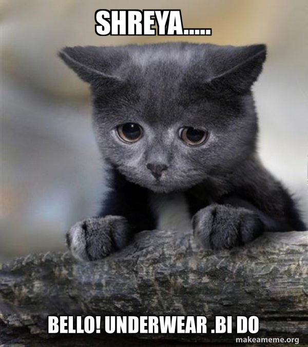 Shreya..... Bello! Underwear .Bi do - Confession Cat Meme Generator