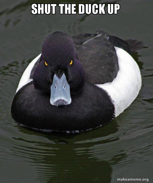 Shut the duck up - Revenge Duck ( Angry Advice Duck ) | Make a Meme