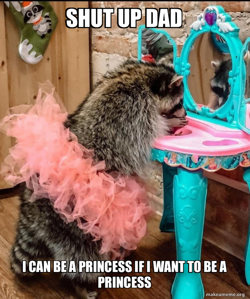 Shut up dad I can be a princess if i want to be a princess | Make a Meme
