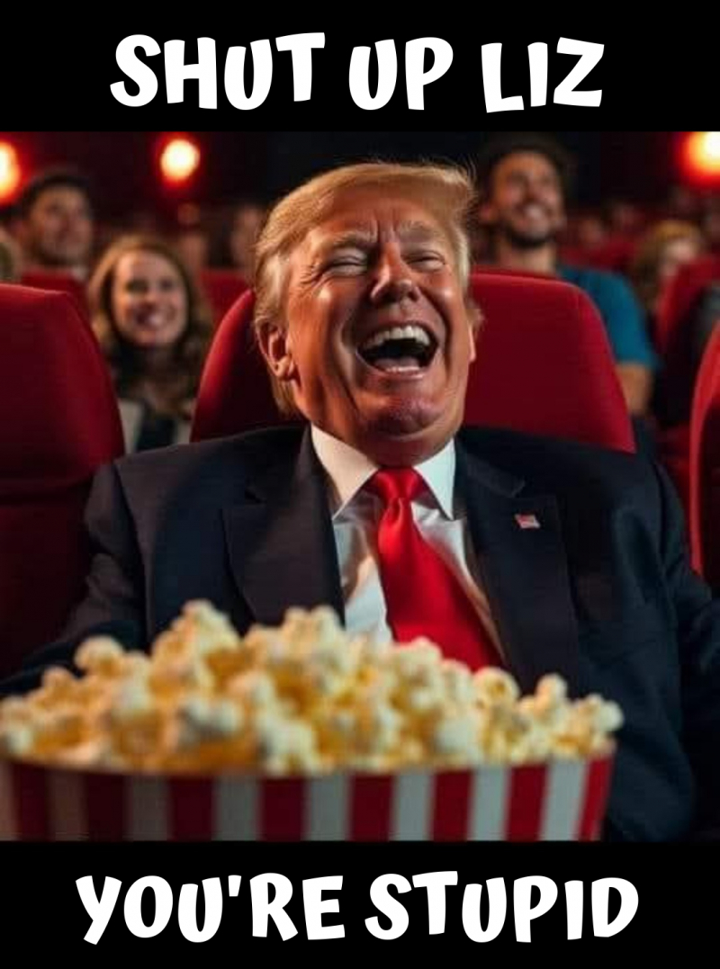 Shut up liz You're stupid Meme Generator