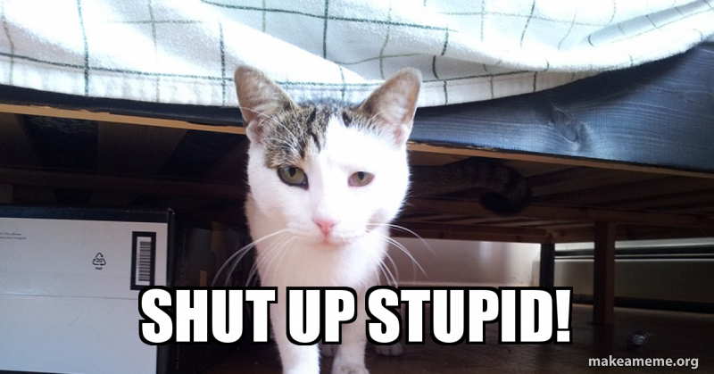 shut up stupid! Meme Generator