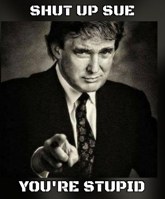 Shut up sue You're stupid Meme Generator