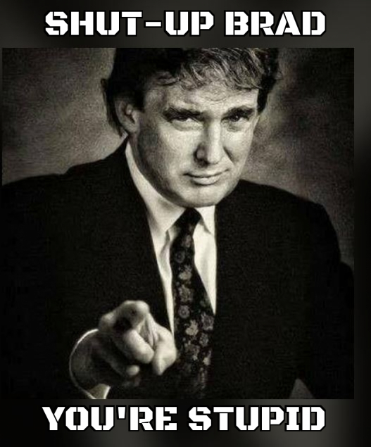 Shut-up brad You're stupid Meme Generator